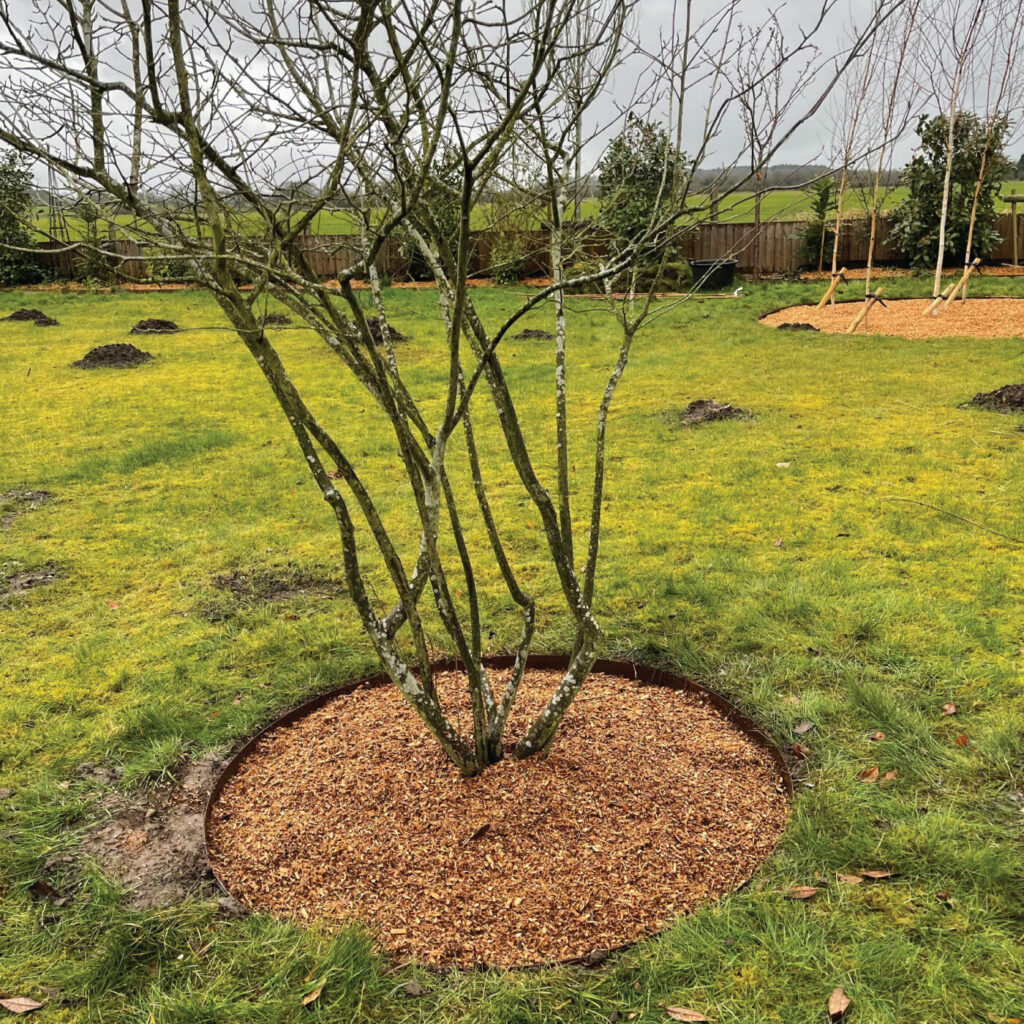 Buy Garden Tree Rings | 600x900x1200mm | 4 Finishes Available