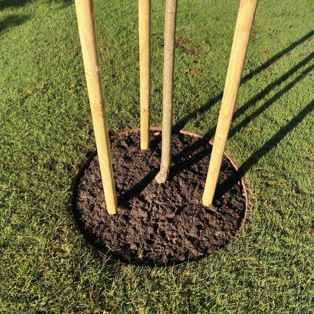 Buy Garden Tree Rings | 600x900x1200mm | 4 Finishes Available