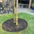 Buy Garden Tree Rings | 600x900x1200mm | 4 Finishes Available