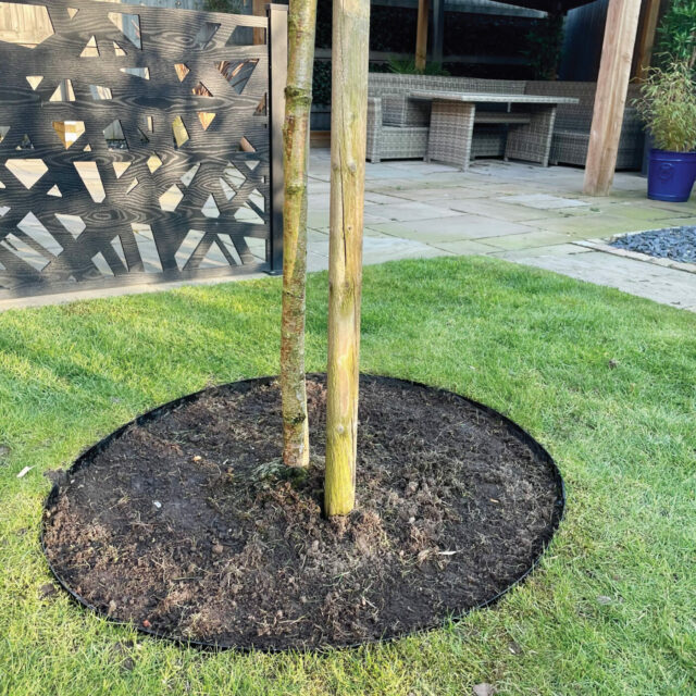 Buy Garden Tree Rings | 600x900x1200mm | 4 Finishes Available