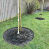 Buy Garden Tree Rings | 600x900x1200mm | 4 Finishes Available