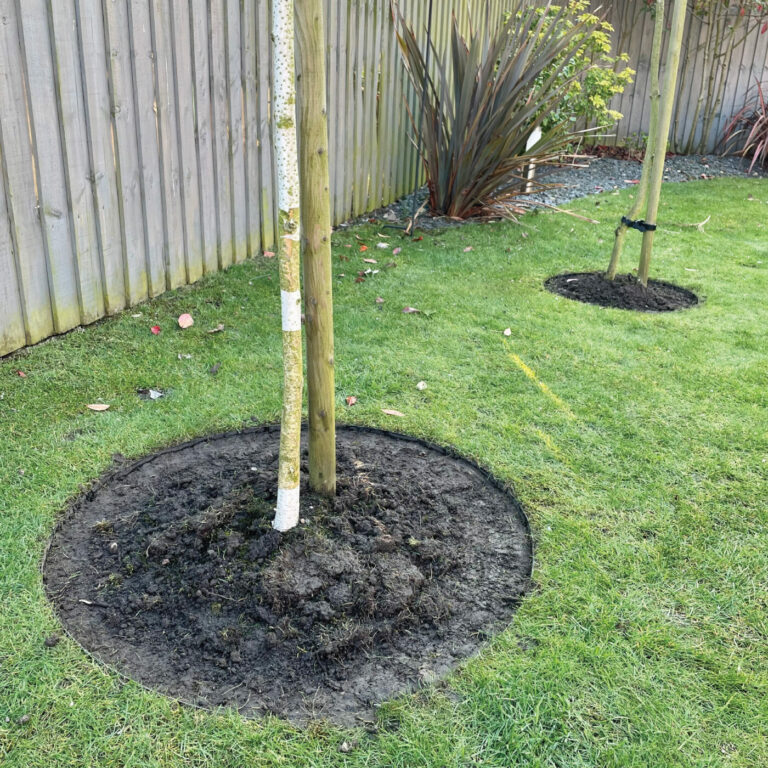 Buy Garden Tree Rings | 600x900x1200mm | 4 Finishes Available