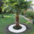 Buy Garden Tree Rings | 600x900x1200mm | 4 Finishes Available