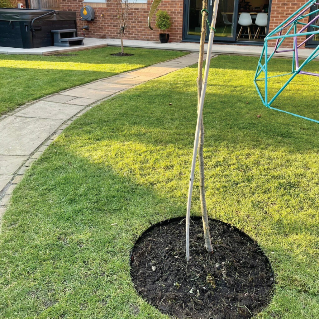 Buy Garden Tree Rings | 600x900x1200mm | 4 Finishes Available