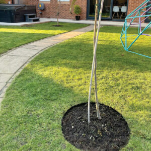 Buy Garden Tree Rings | 600x900x1200mm | 4 Finishes Available