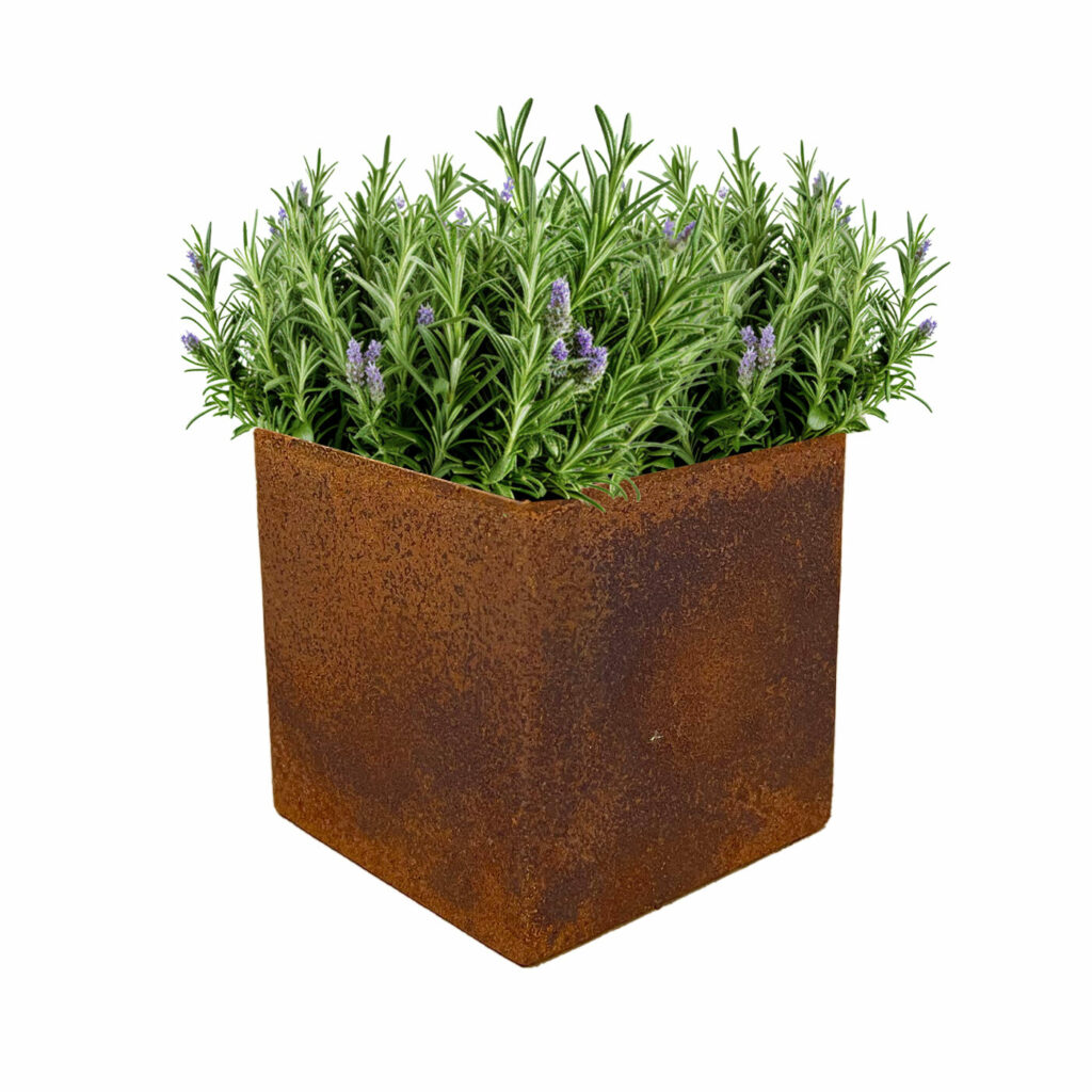 Mini Cube Planter | 100 x 100 x 100mm | Black or Corten Steel - The ...