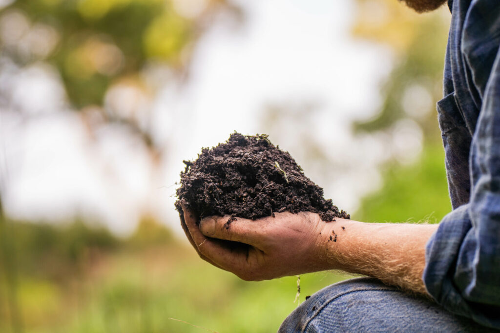Living Soils: How to Build Healthy Soil for a Sustainable Garden